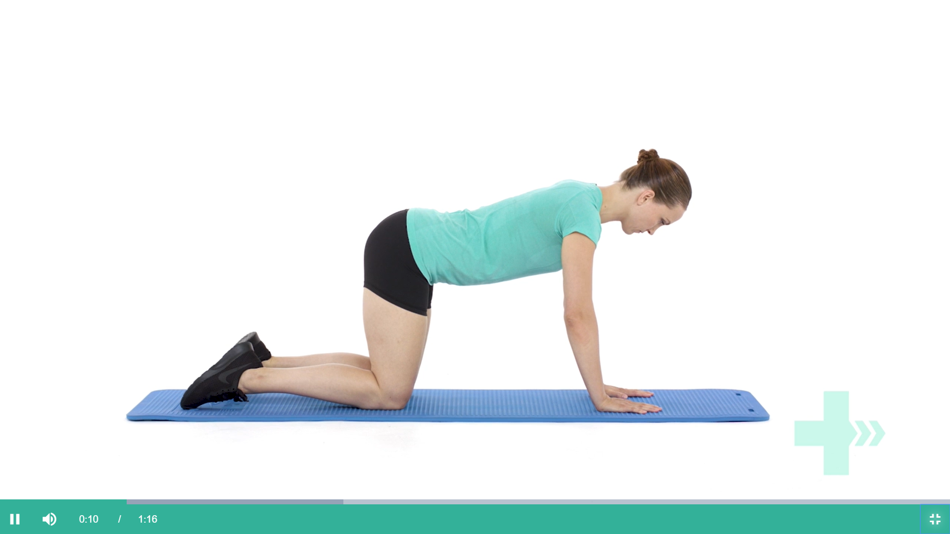 physitrack | Burlington NC Chiropractor - Cardinal Chiropractic and ...